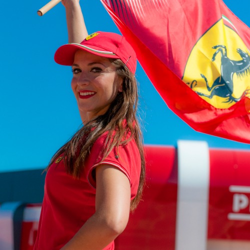 Feel like a real F1 driver in the Ferrari Land simulator and the rest ...